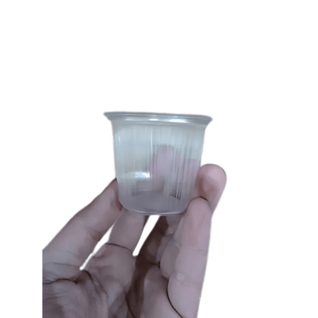 Copo 50ml Totalplast Transparente PP 50X100